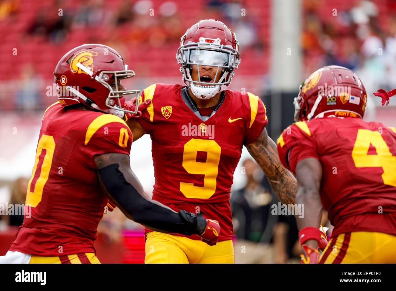 Jackson wolf hi-res stock photography and images - Alamy