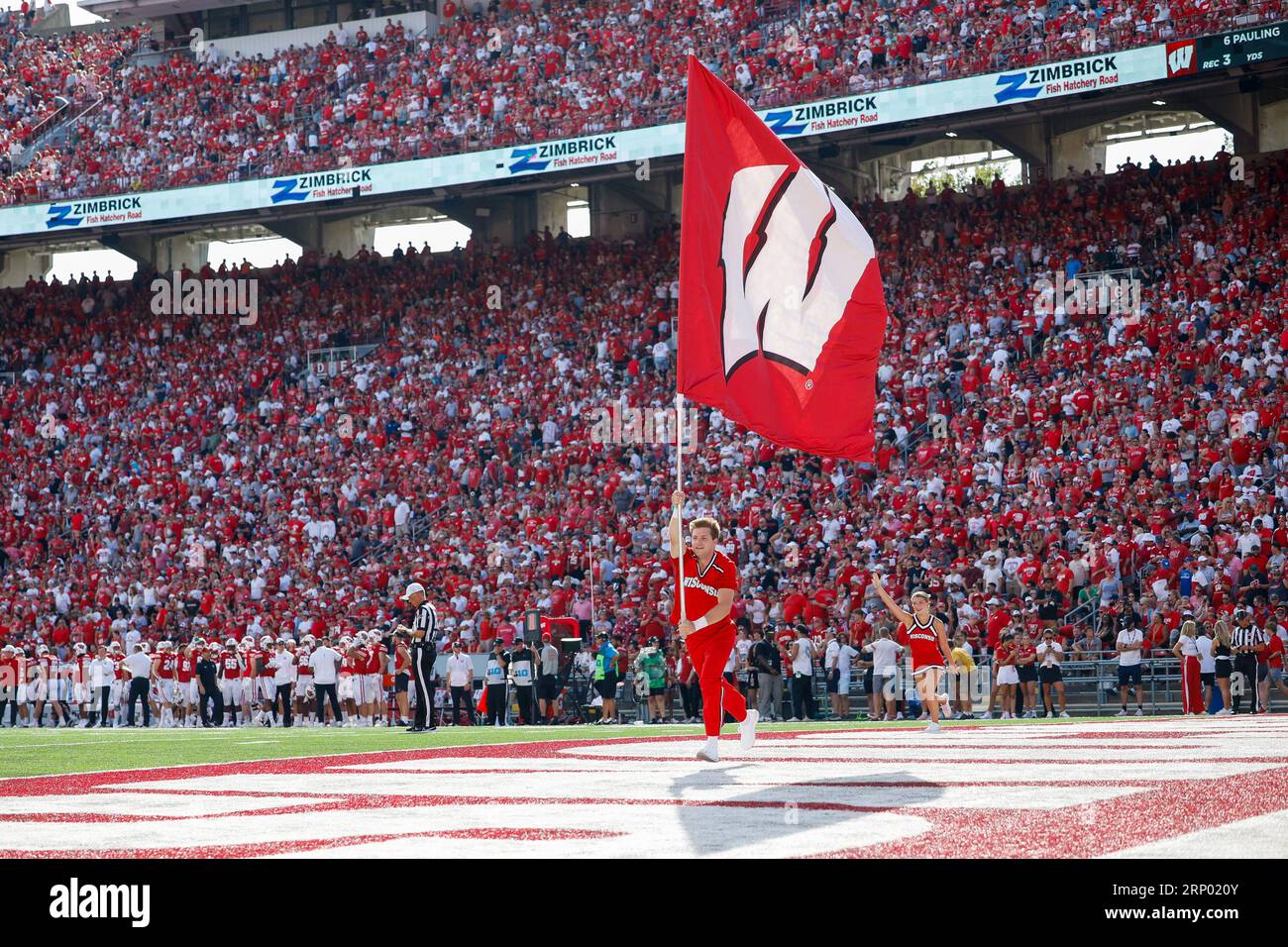 Madison, WI, USA. 2nd Sep, 2023. A Wisconsin Badger Cheerleader runs ...