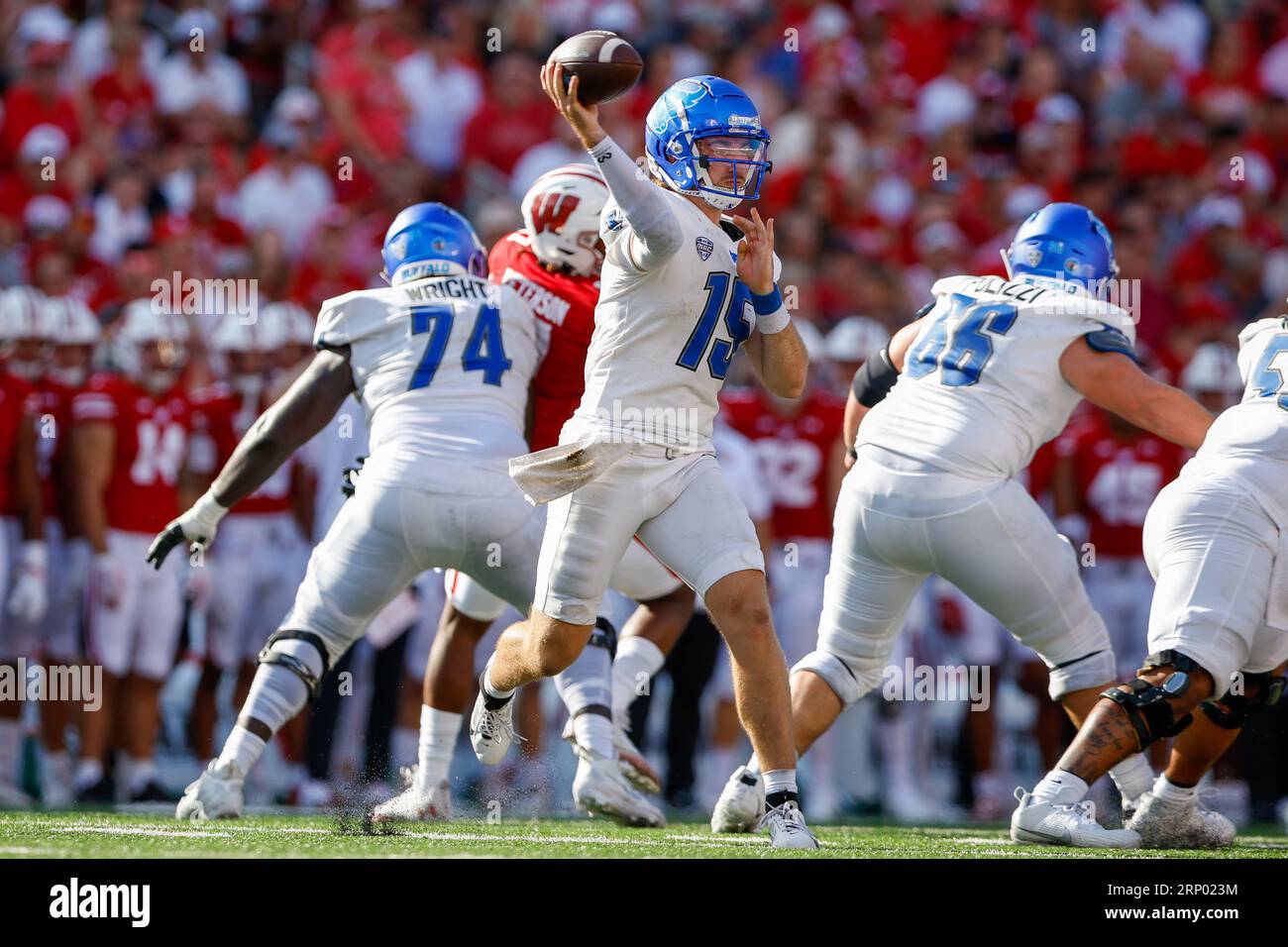 Madison, WI, USA. 2nd Sep, 2023. Buffalo Bulls quarterback Cole Snyder ...