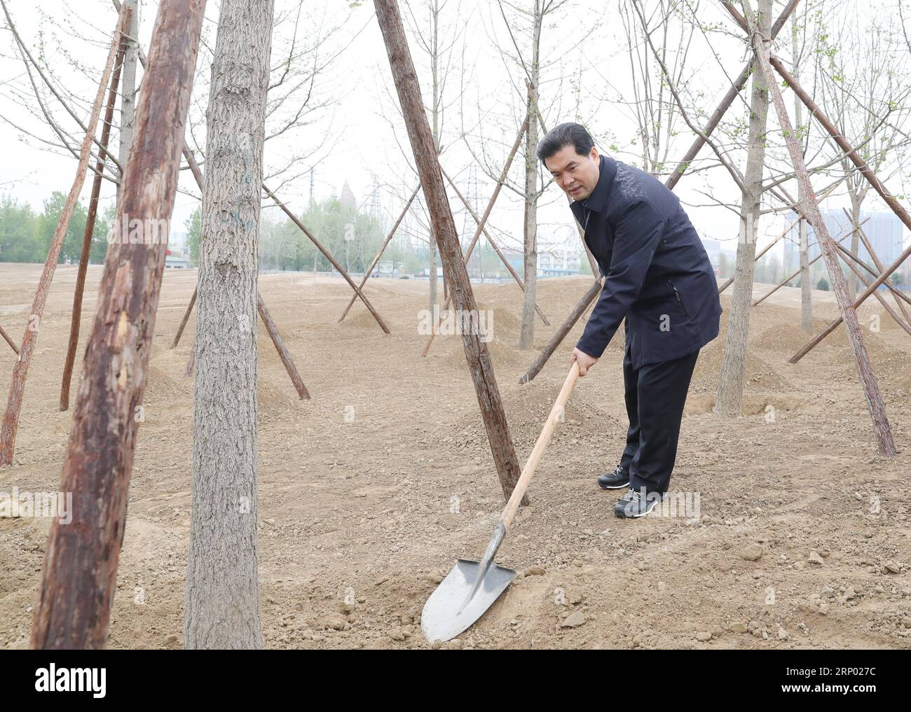 Xia bin hi-res stock photography and images - Alamy