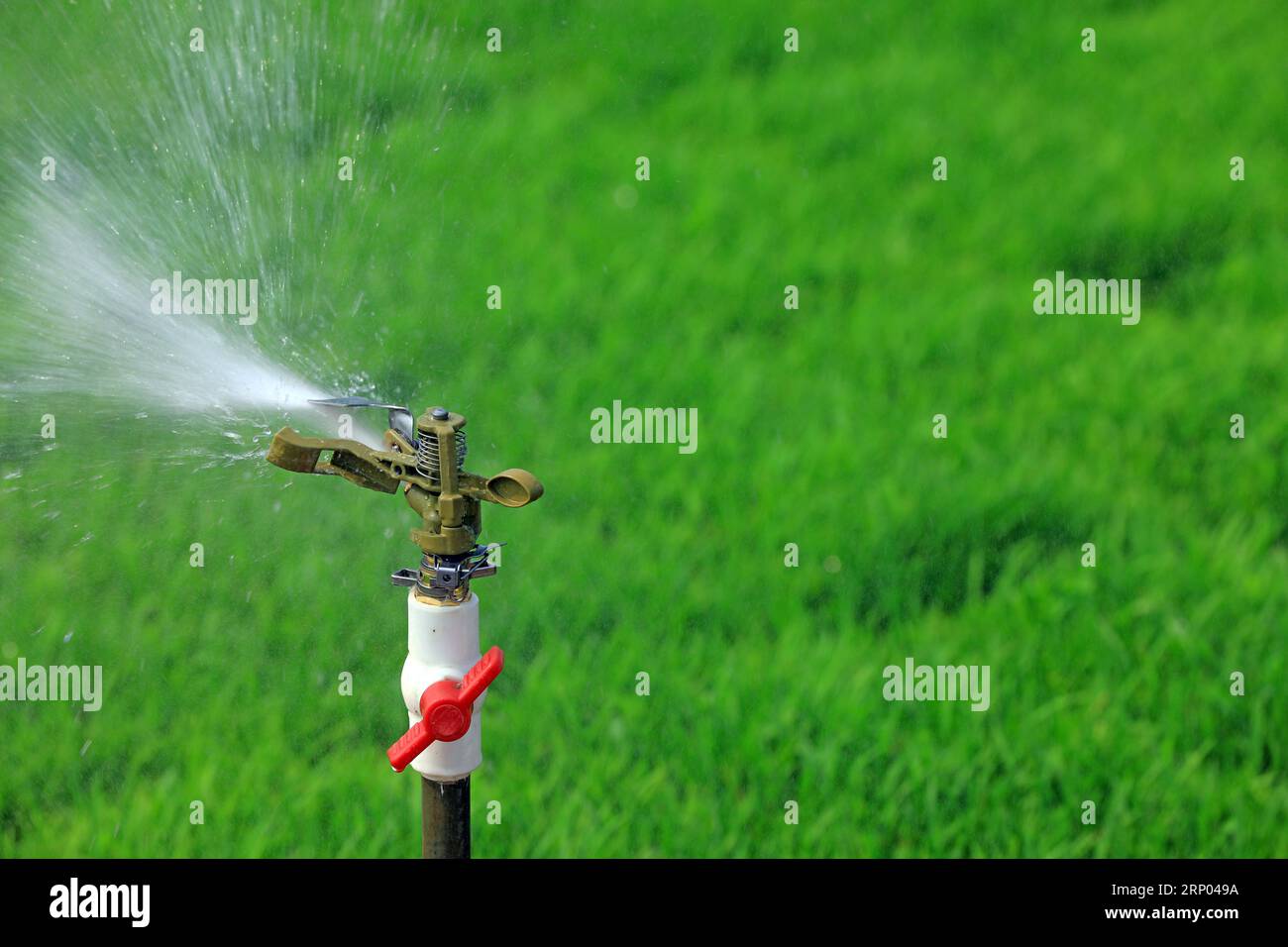 Sprinkler irrigation facilities in rice seedling base, North China ...
