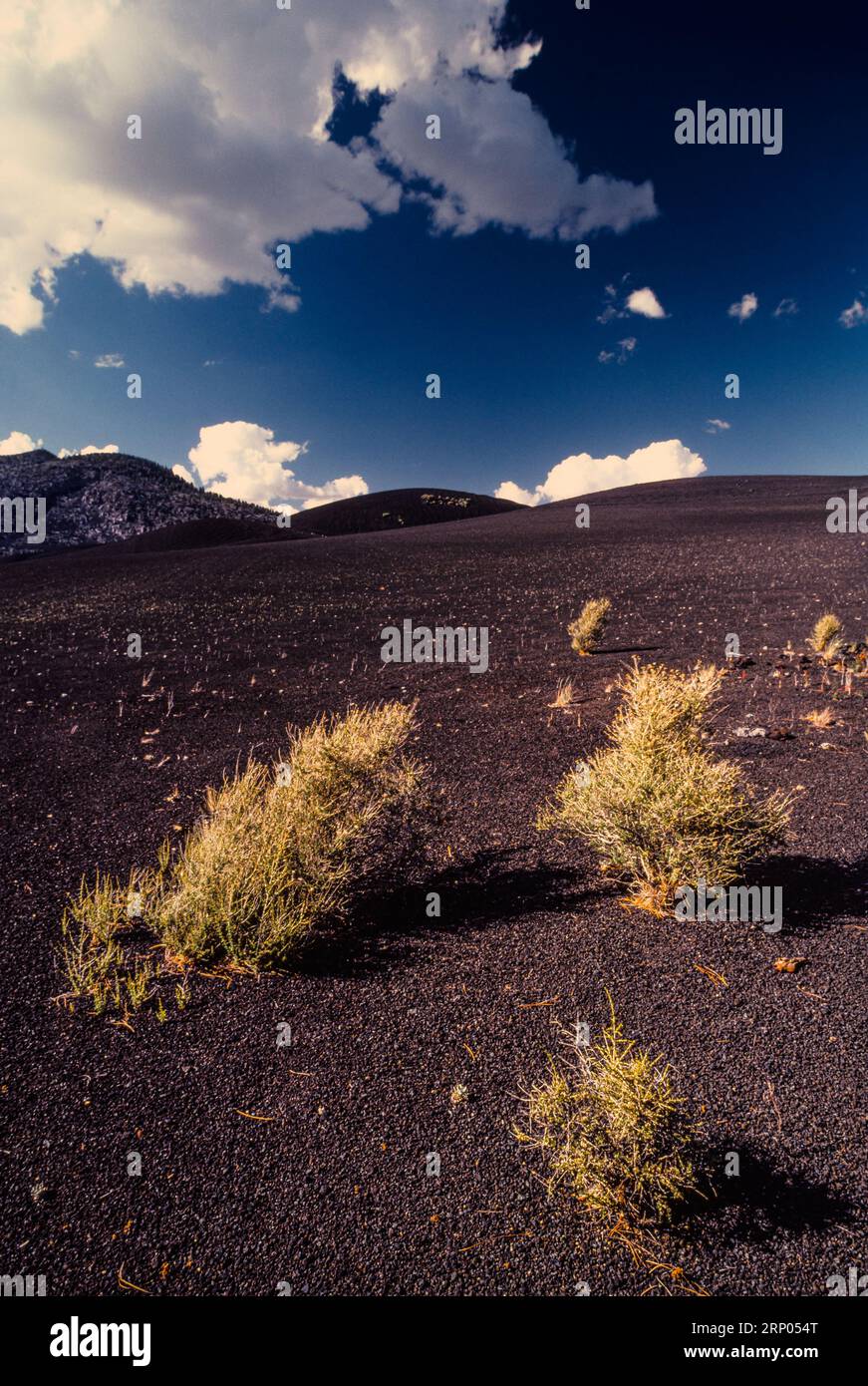 Sunset Crater Volcano National Monument Flagstaff, Arizona, USA Stock ...
