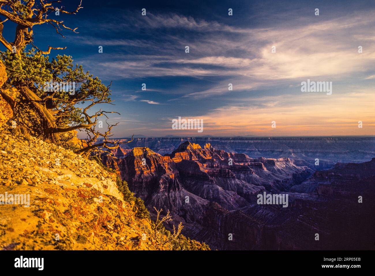 Bright Angel Point Grand Canyon National Park Fredonia, Arizona, USA ...
