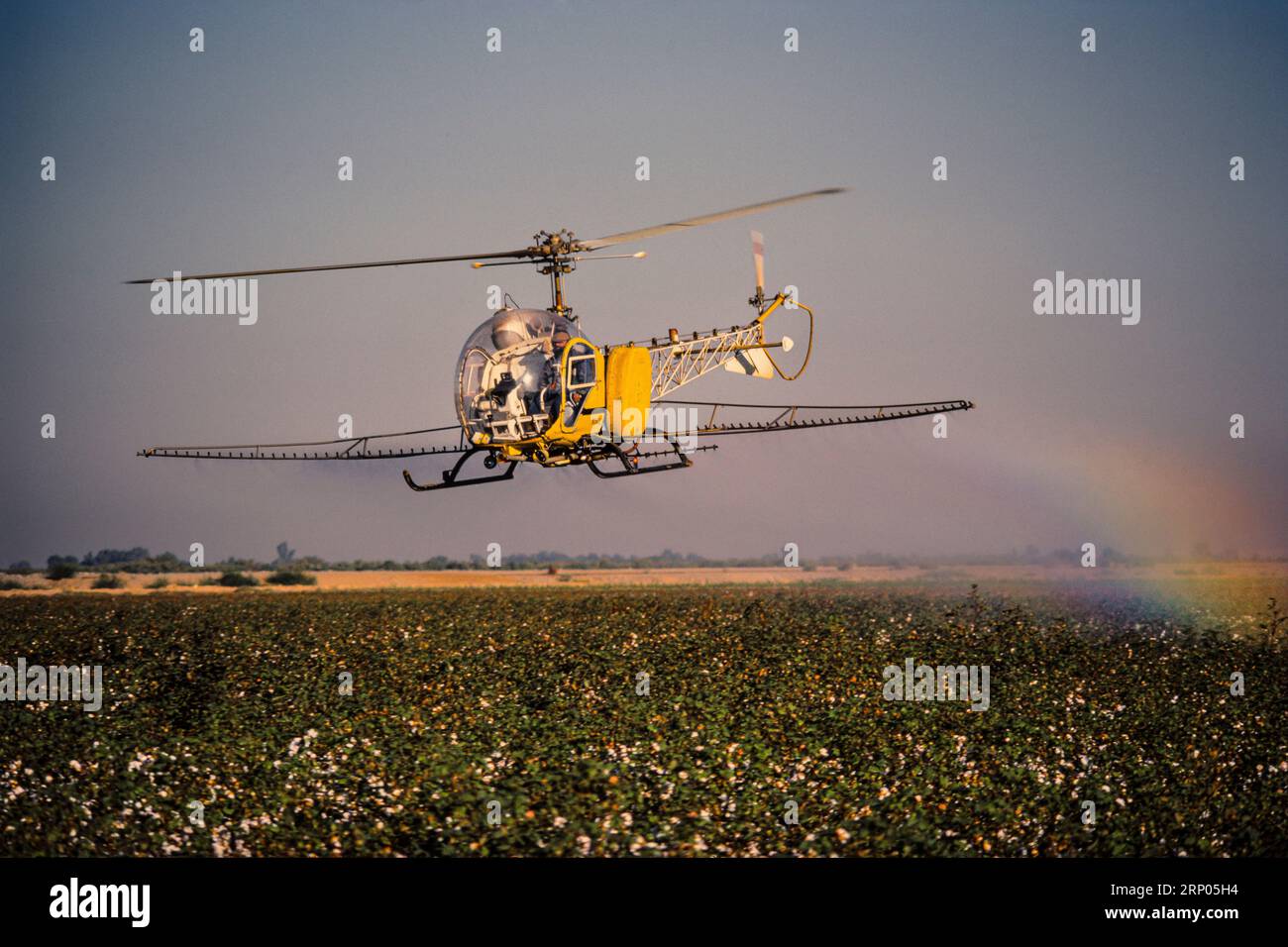 Helicopter Crop Dusting Cotton Field Somerton, Arizona, USA Stock Photo ...
