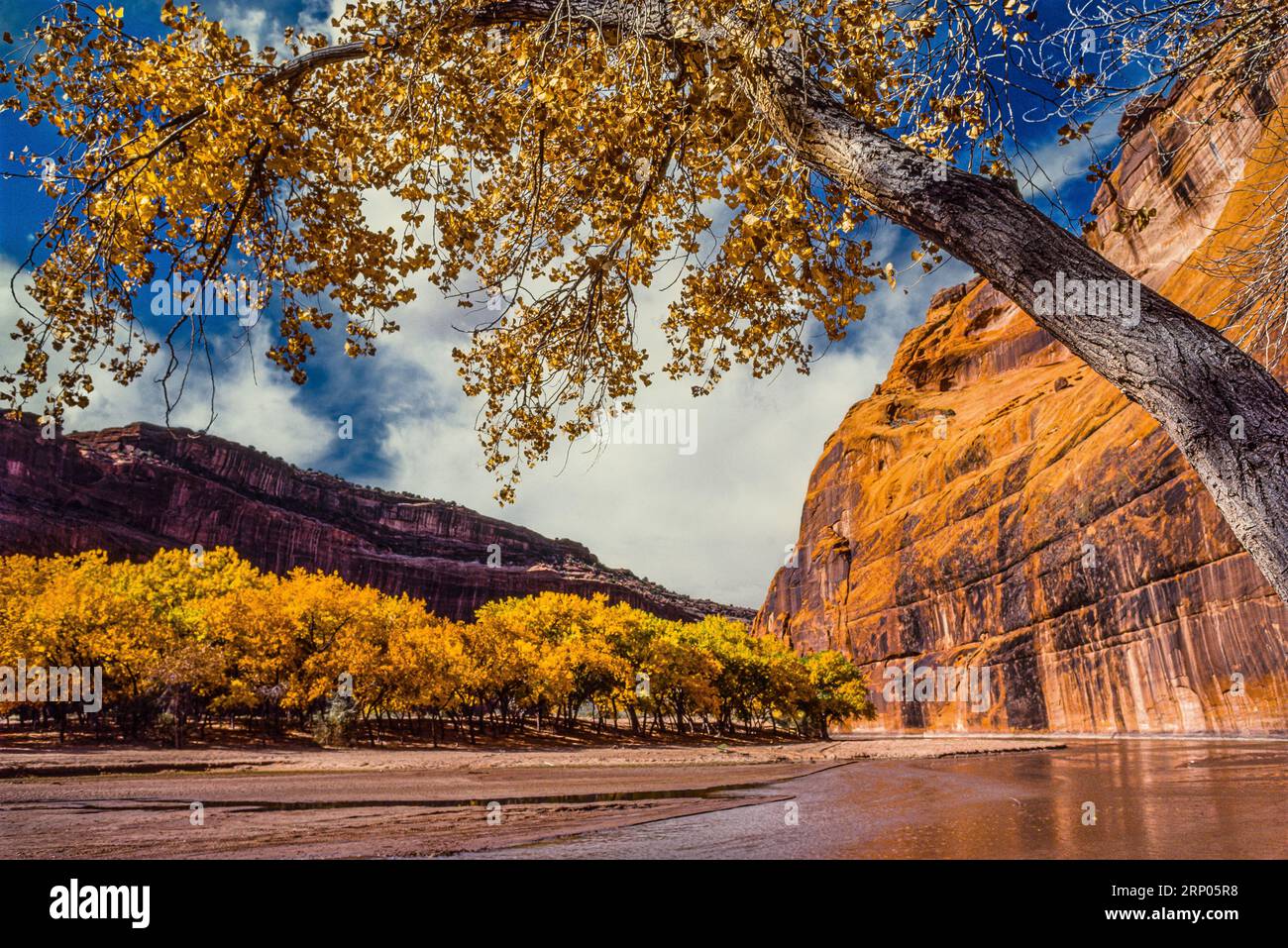 Canyon de Chelly National Monument Chinle, Arizona, USA Stock Photo - Alamy