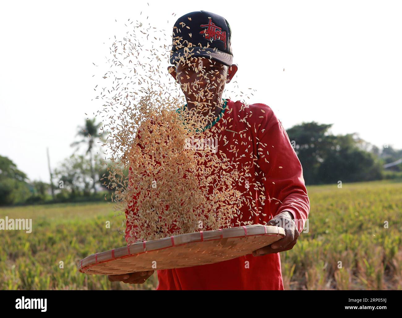 Bulacan farming hi-res stock photography and images - Alamy
