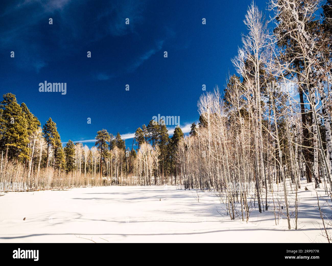 Mogollon rim snow hi-res stock photography and images - Alamy