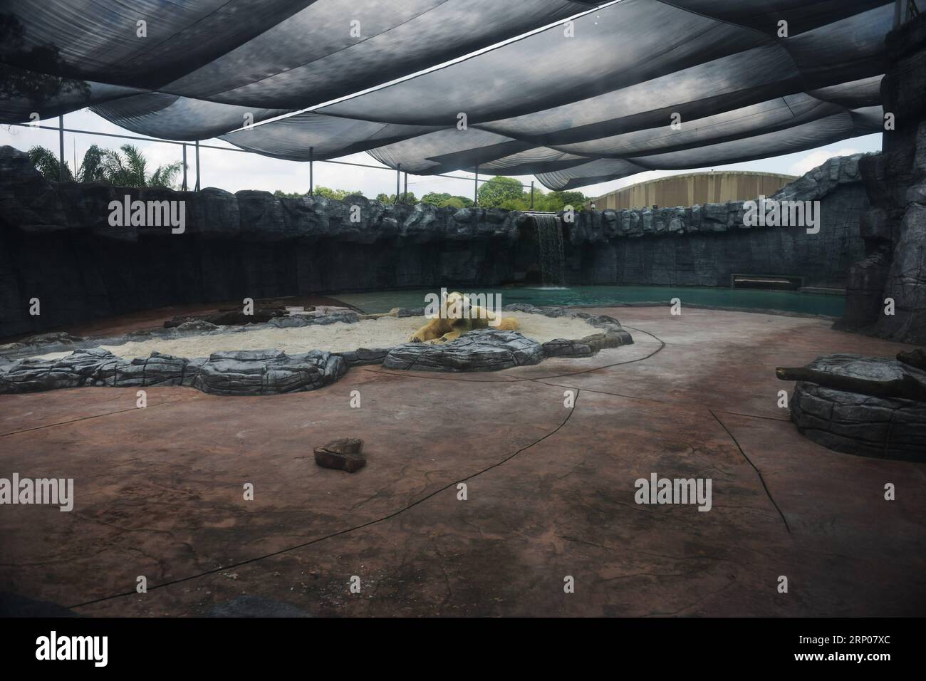 (180425) -- SINGAPORE, April 25, 2018 -- File photo taken on April 13 ...