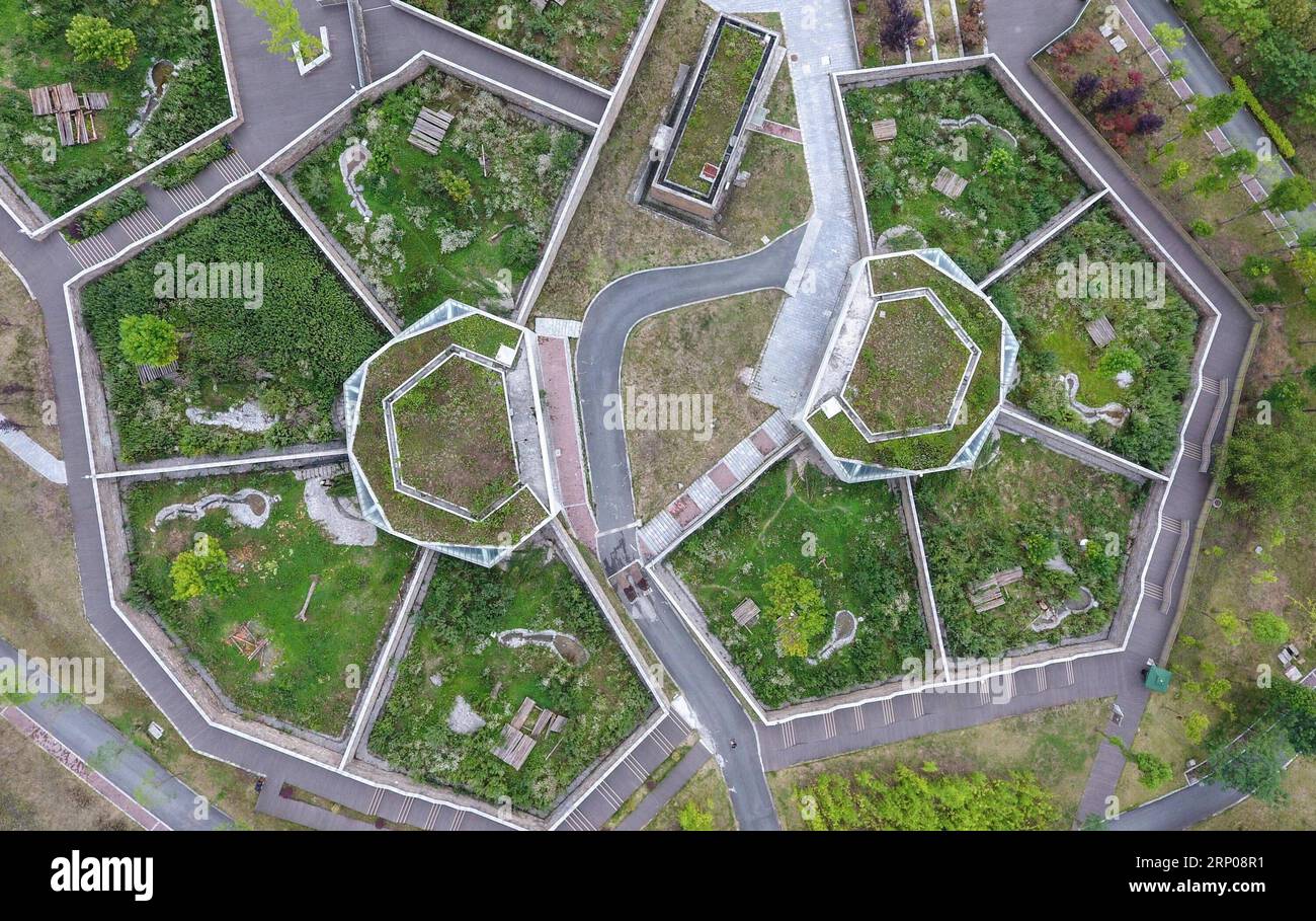 Panda research aerial hi-res stock photography and images - Alamy
