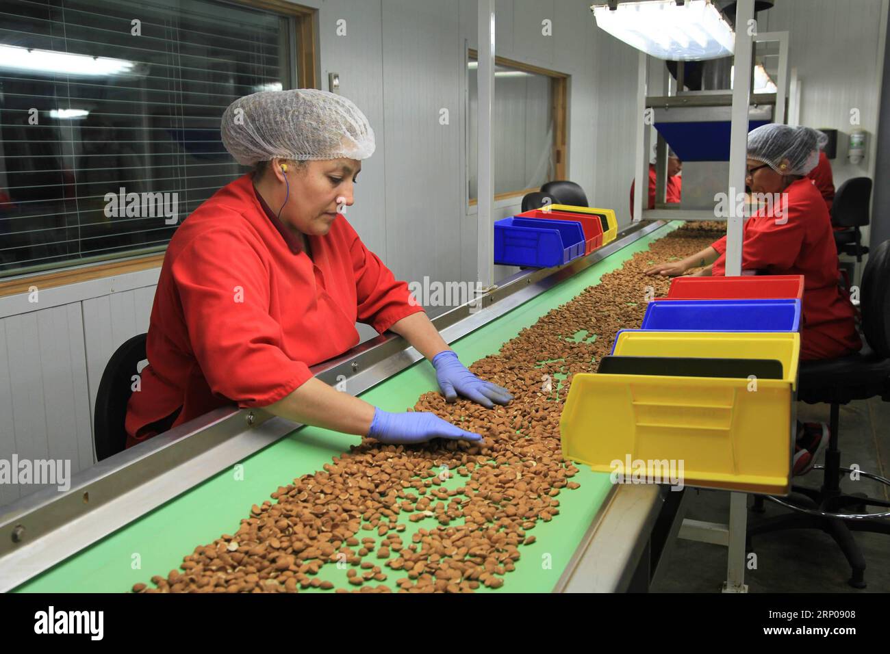 Persistent rise hi-res stock photography and images - Alamy