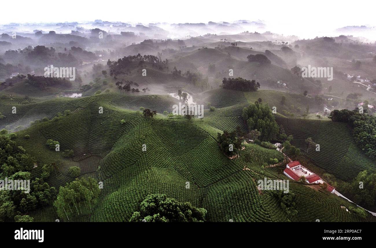 Characteristic planting hi-res stock photography and images - Alamy