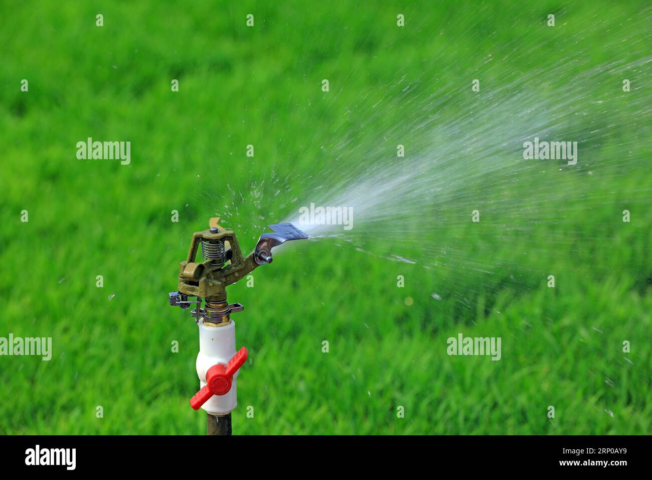 Sprinkler irrigation facilities in rice seedling base, North China ...