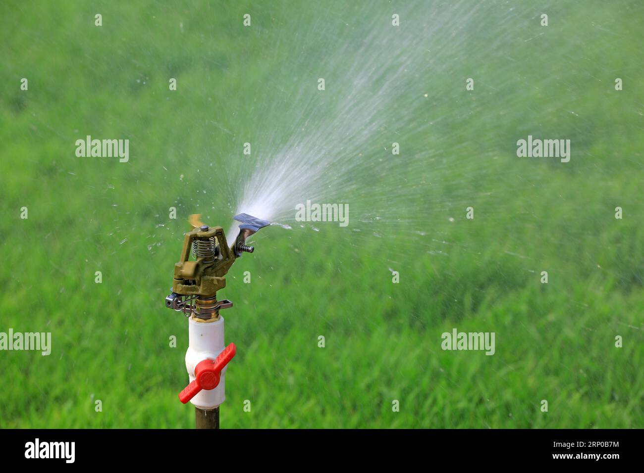 Sprinkler irrigation facilities in rice seedling base, North China ...