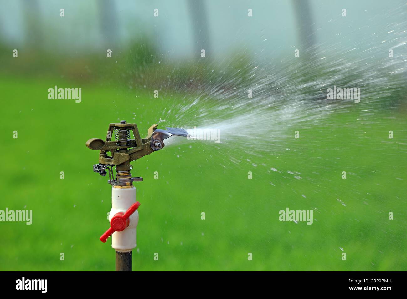 Sprinkler irrigation facilities in rice seedling base, North China ...