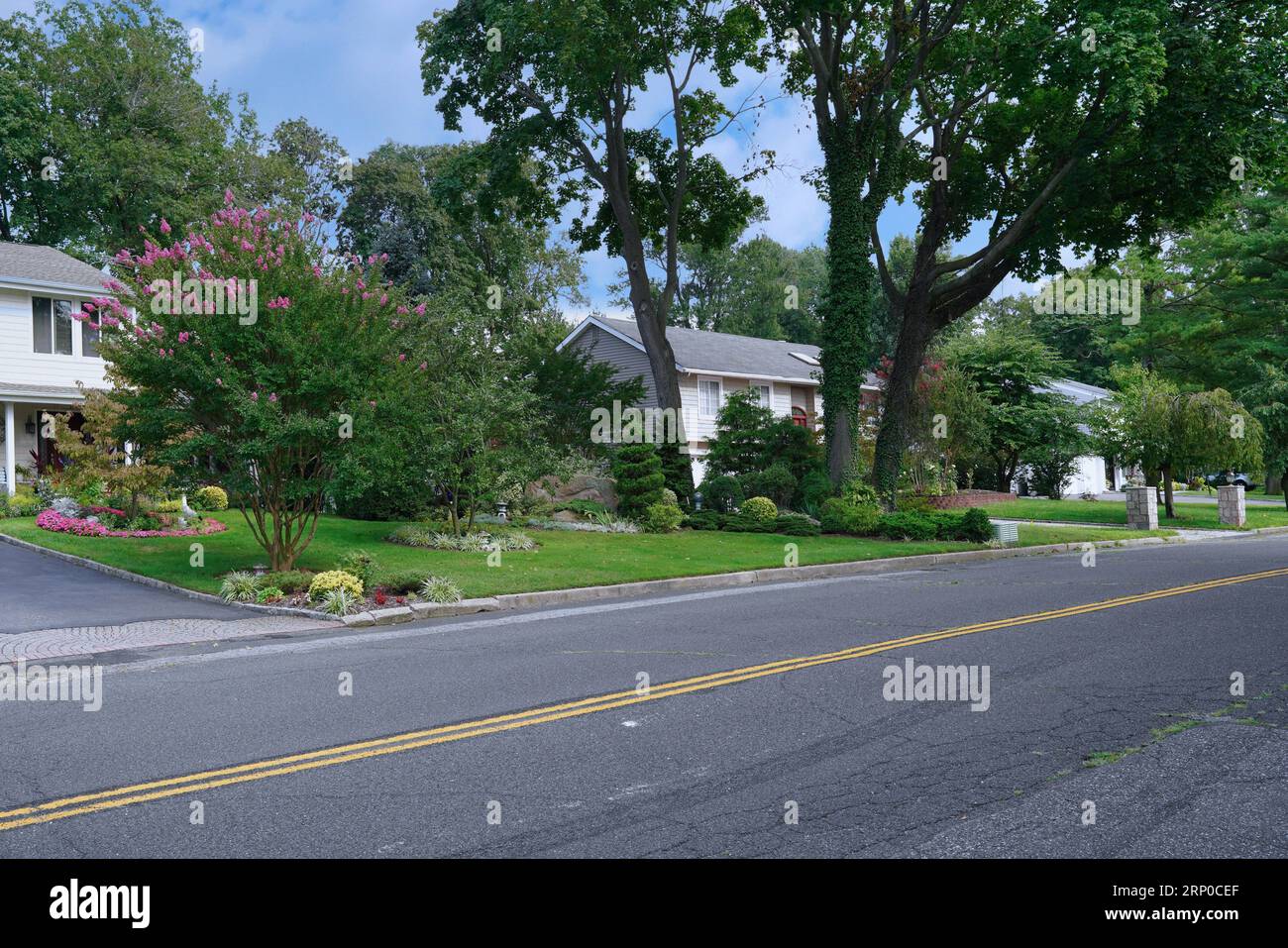 Suburban residential street with two story houses with front gardens ...