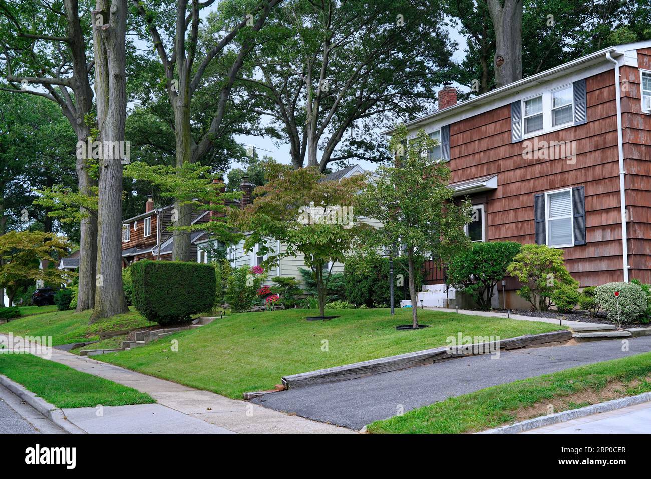 Suburban residential street with tall trees and cedar clad clapboard ...