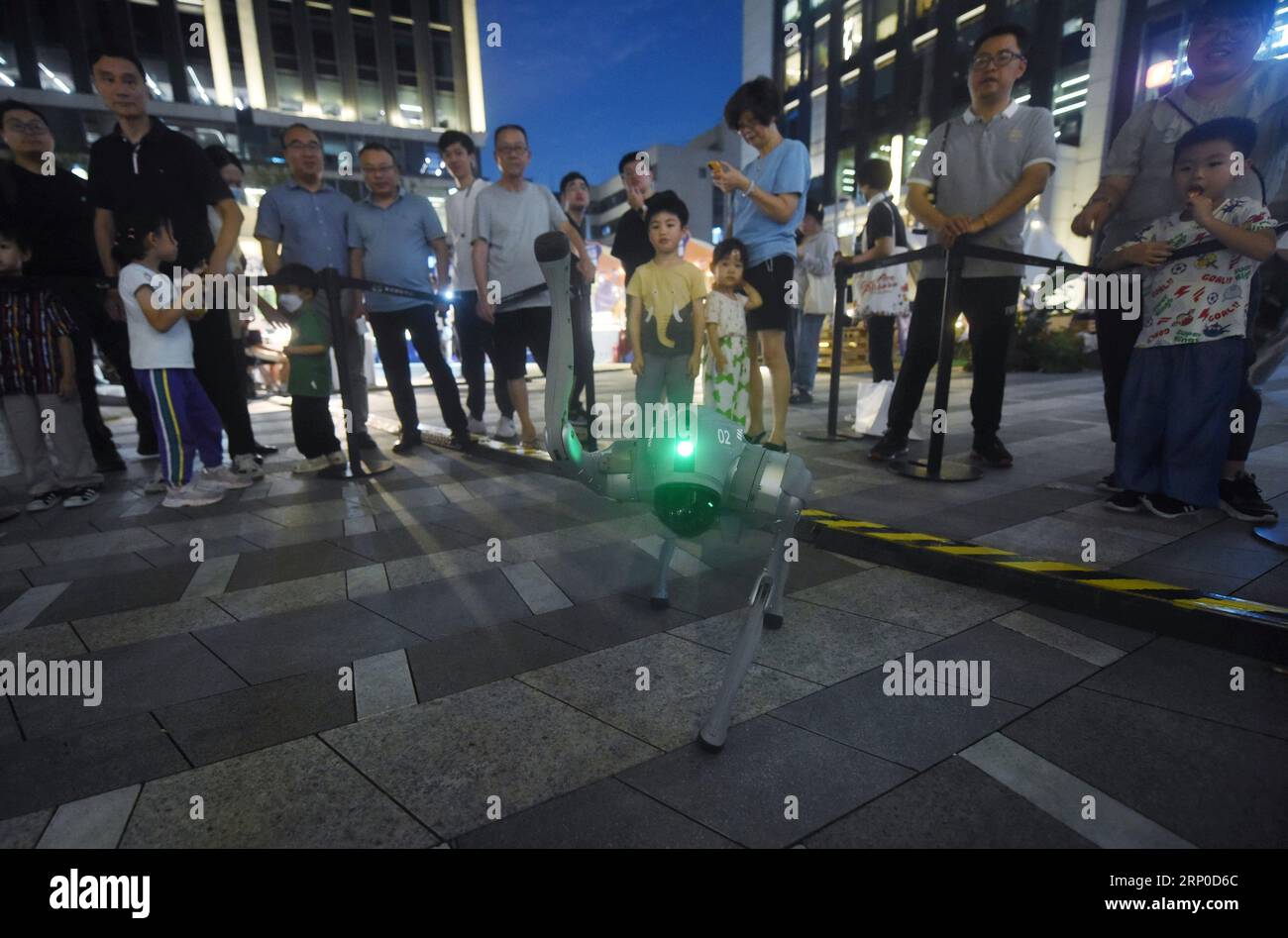 HANGZHOU, CHINA - SEPTEMBER 1, 2023 - Unitree Go2, a robot dog equipped ...