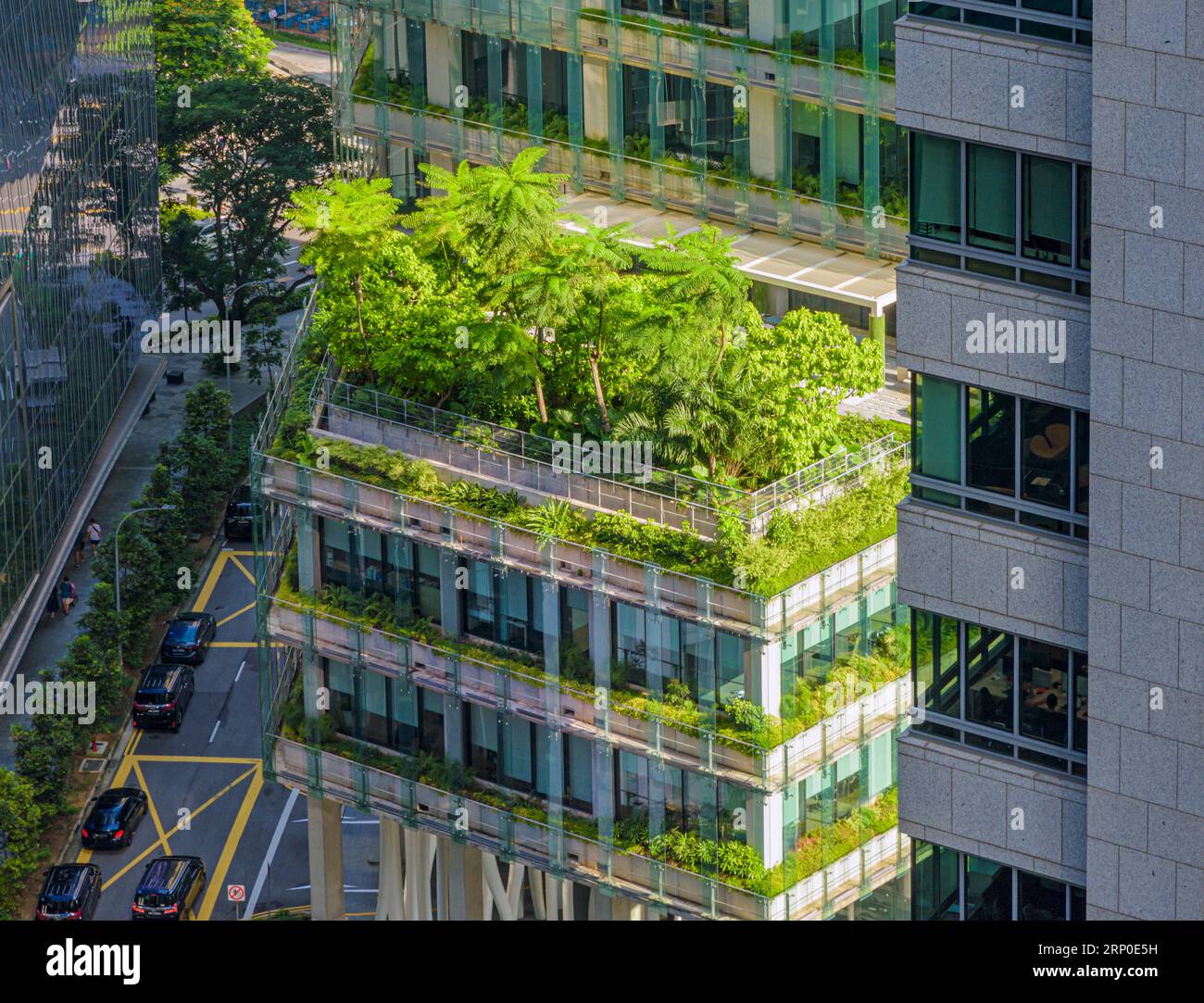 Some of the lower high rise roof gardens of the CapitaGreen building at ...