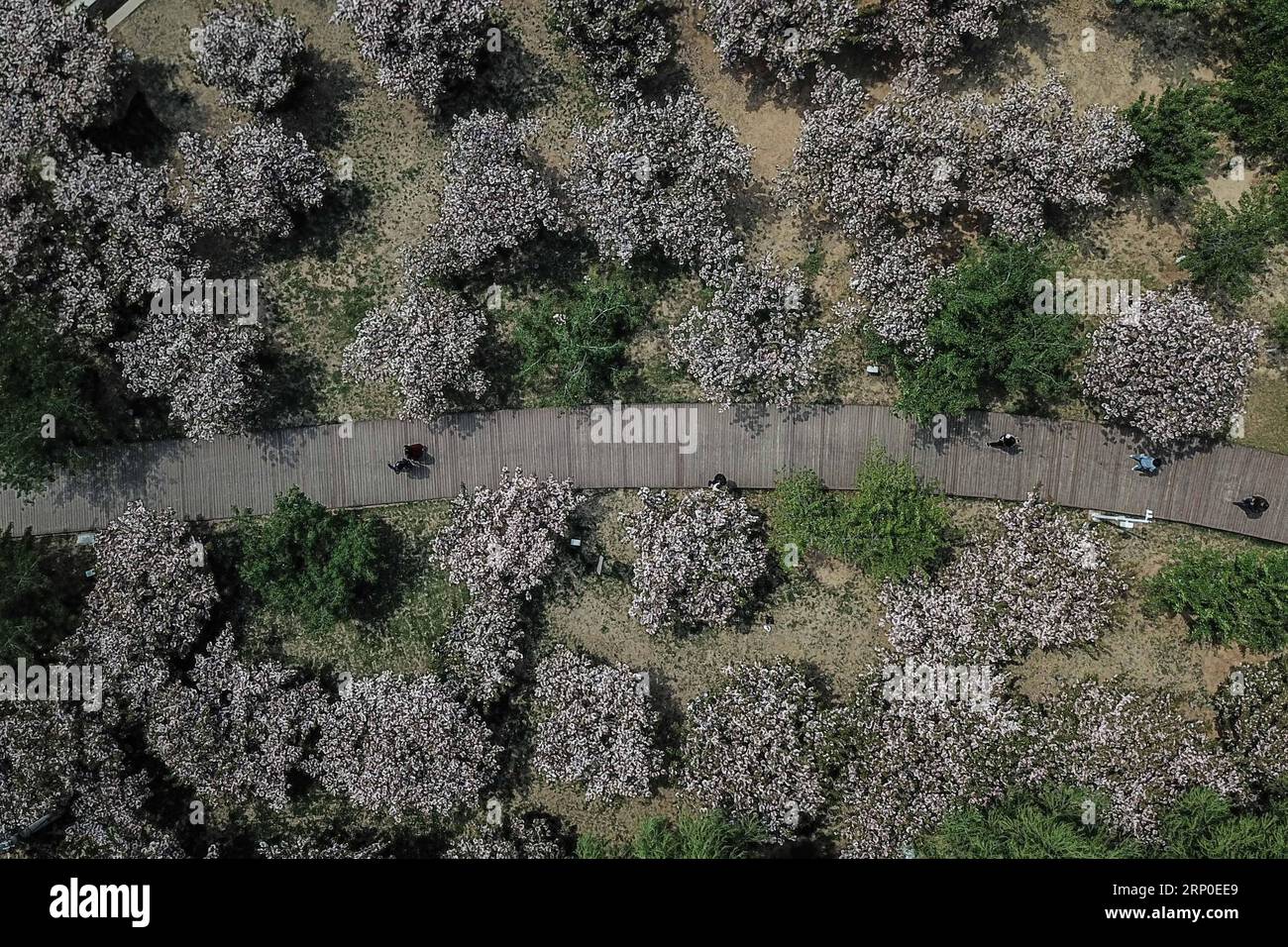 (180510) -- DALIAN, May 10, 2018 -- Aerial photo taken on May 10, 2018 ...