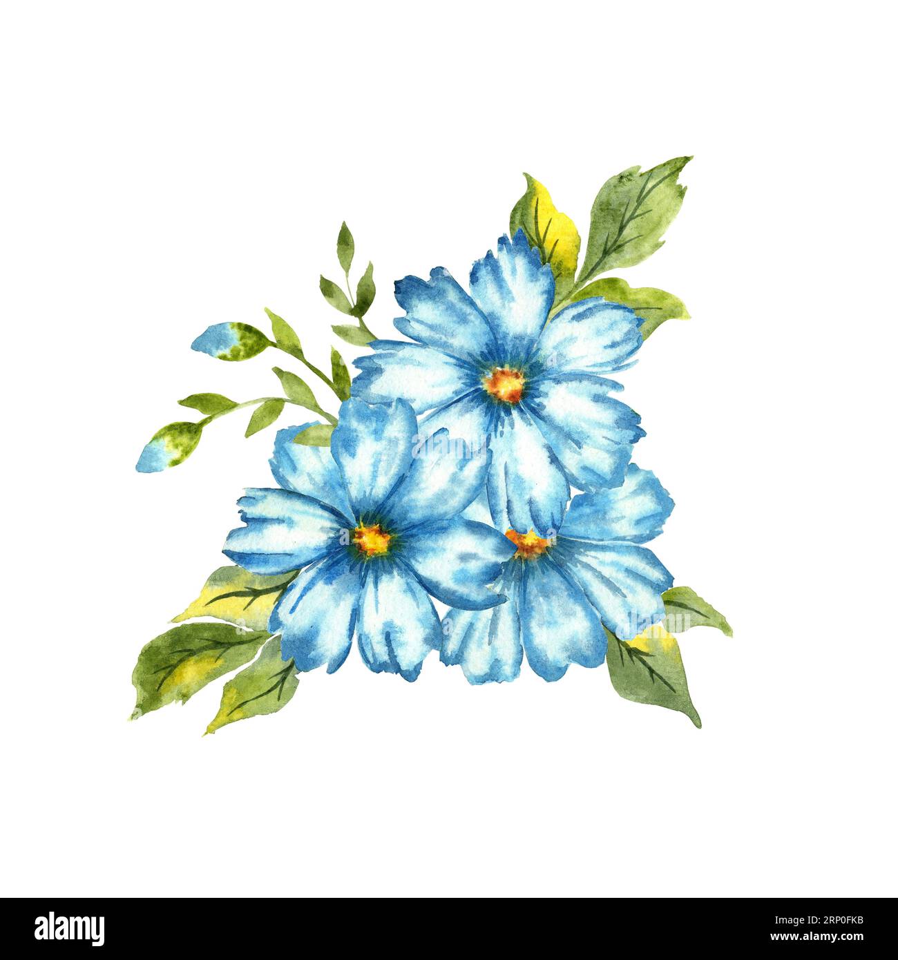 Watercolor illustration composition of three blue flowers. Colors ...