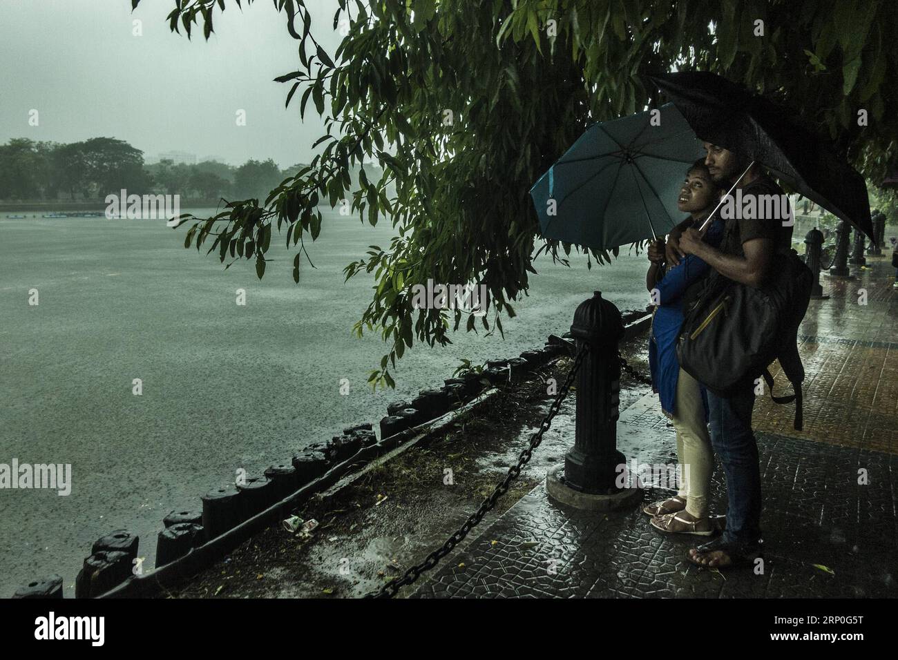 Shelter under a tree hi-res stock photography and images - Alamy