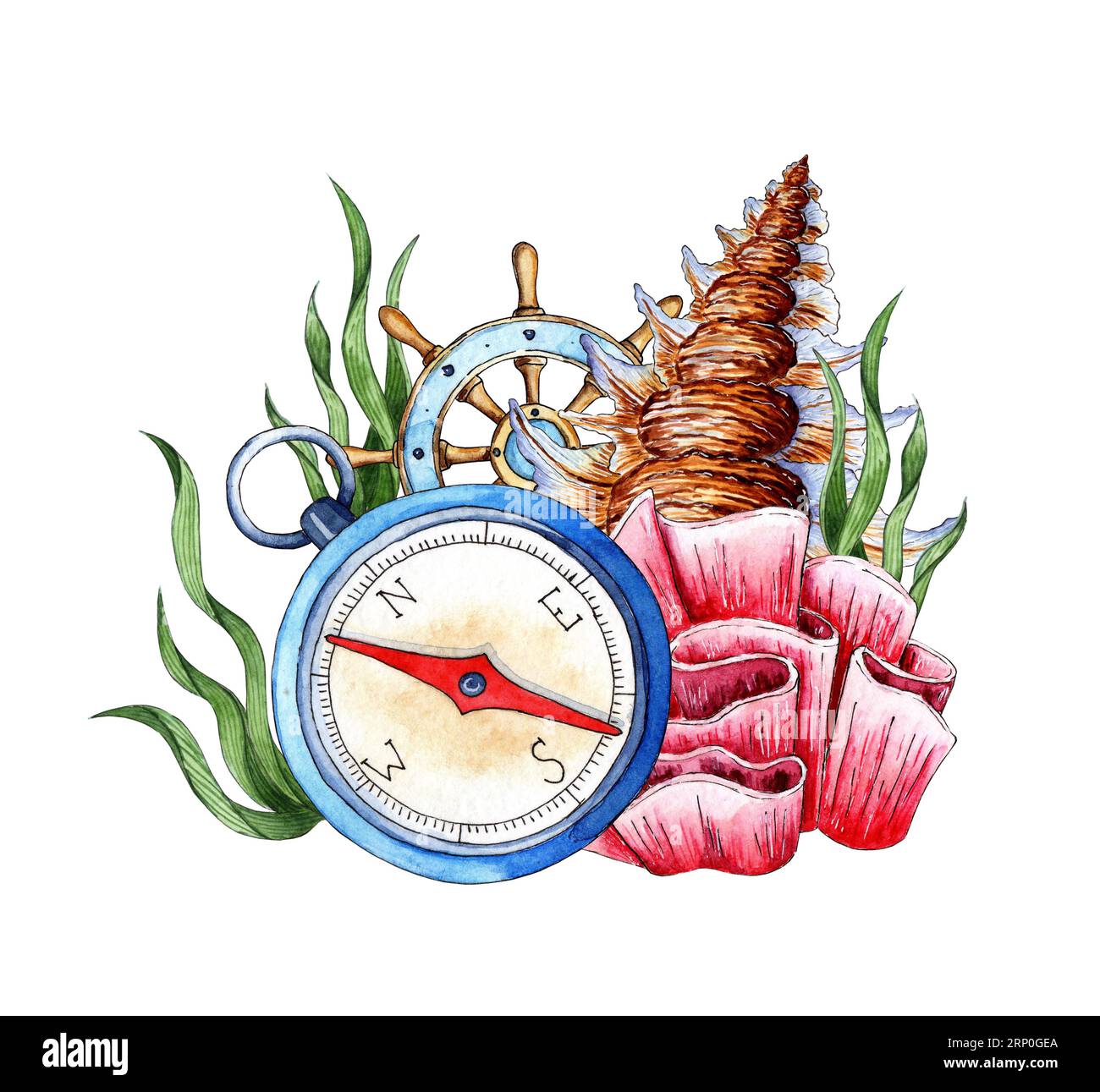 Watercolor illustrations of a compass, seashells, corals, algae and a ...