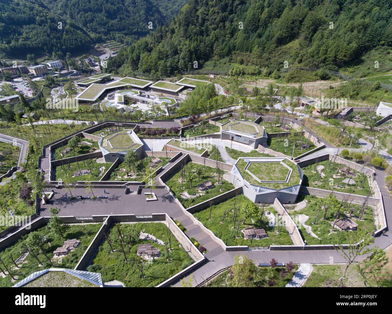 Wolong nature reserve aerial hi-res stock photography and images - Alamy