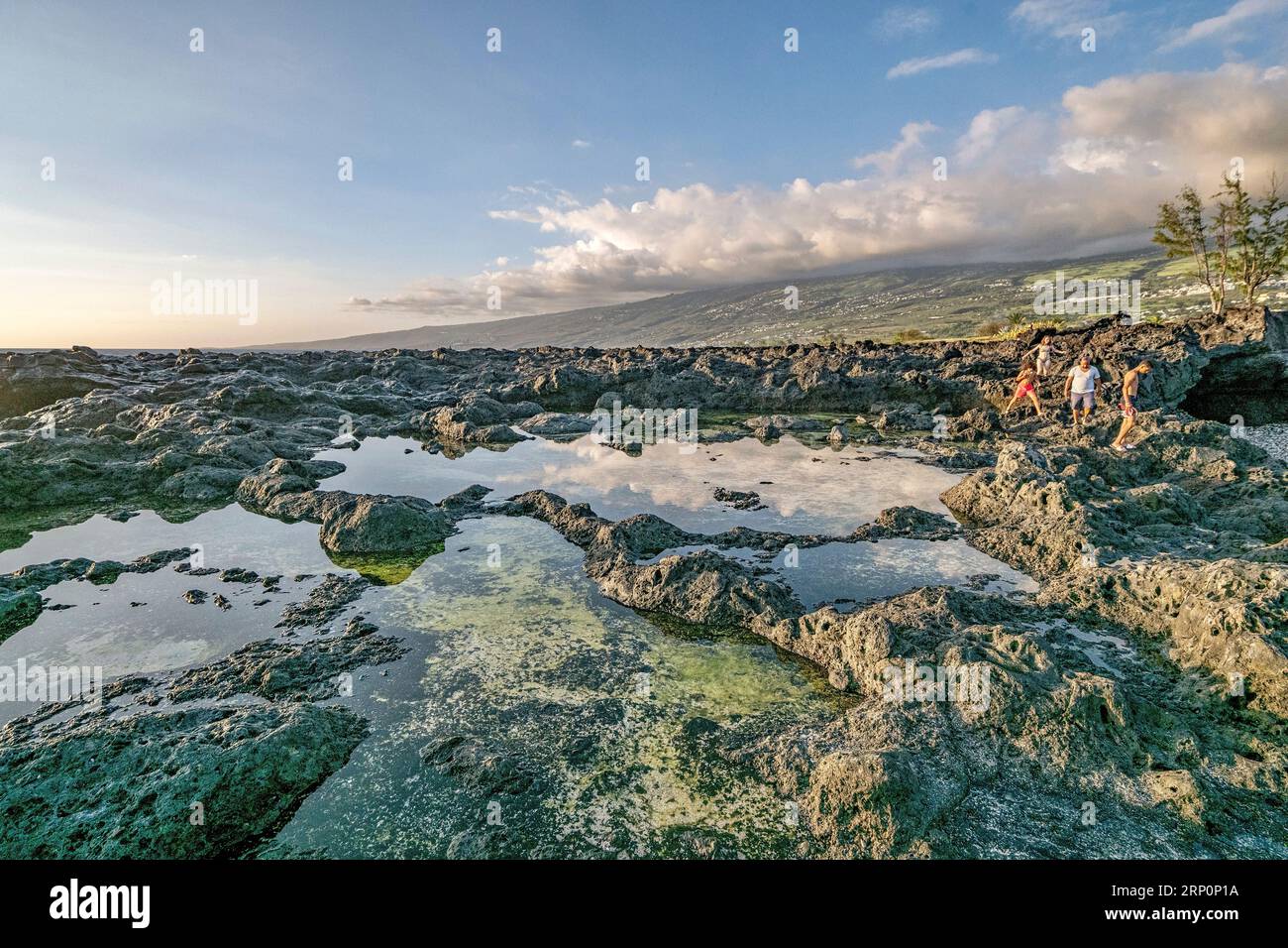 La Reunion Island from rhum factory to the volcano Stock Photo - Alamy