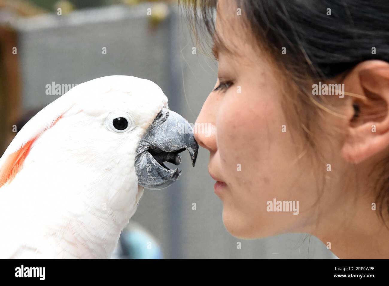 Interactive zoo experience hi-res stock photography and images - Alamy