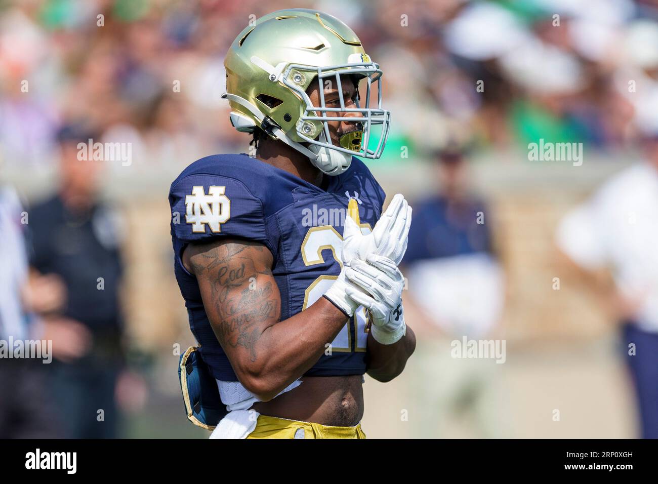 South Bend, Indiana, USA. 02nd Sep, 2023. Notre Dame running back Devyn ...