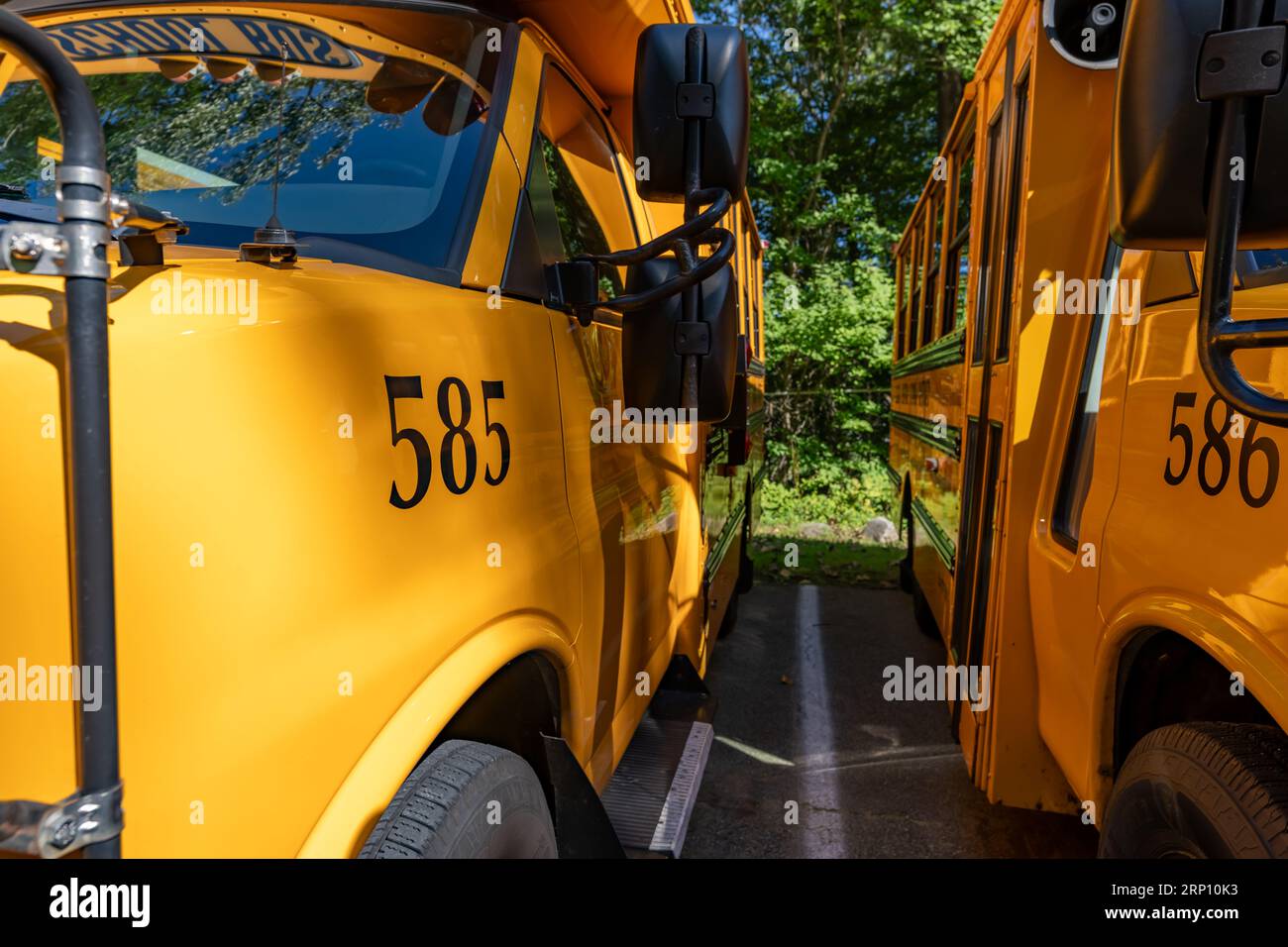 Side of a parked yellow school bus number 585 Stock Photo - Alamy
