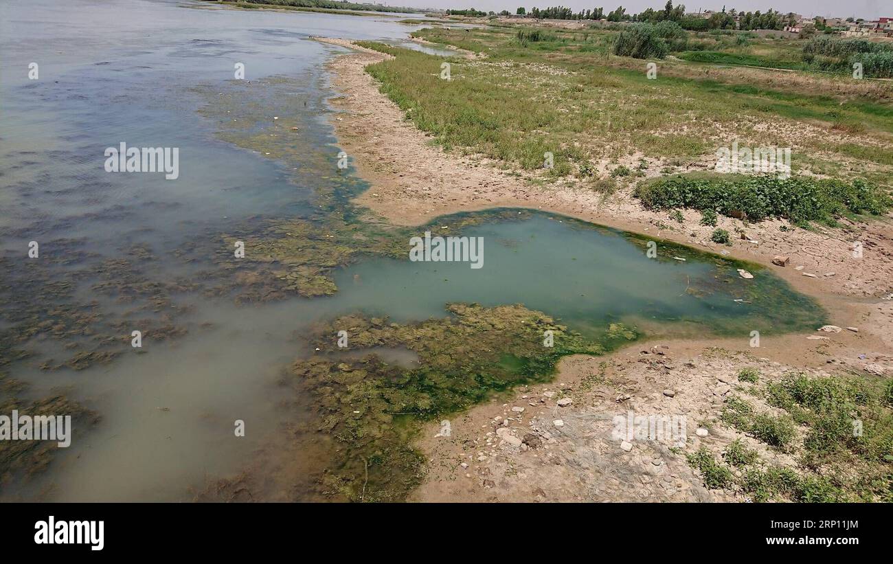 (180603) -- MOSUL, June 3, 2018 -- Photo taken on June 3, 2018 shows ...