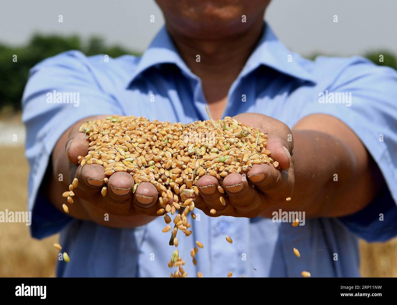 Junting season hi-res stock photography and images - Alamy