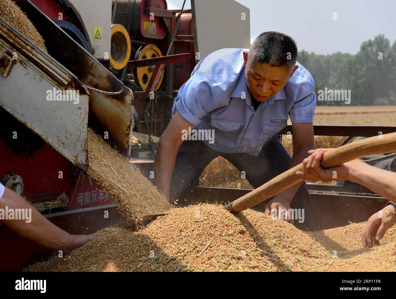 Junting season hi-res stock photography and images - Alamy