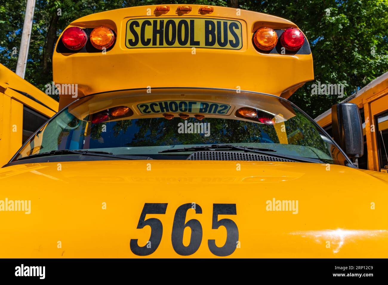 Front of a parked yellow school bus number 565 Stock Photo - Alamy
