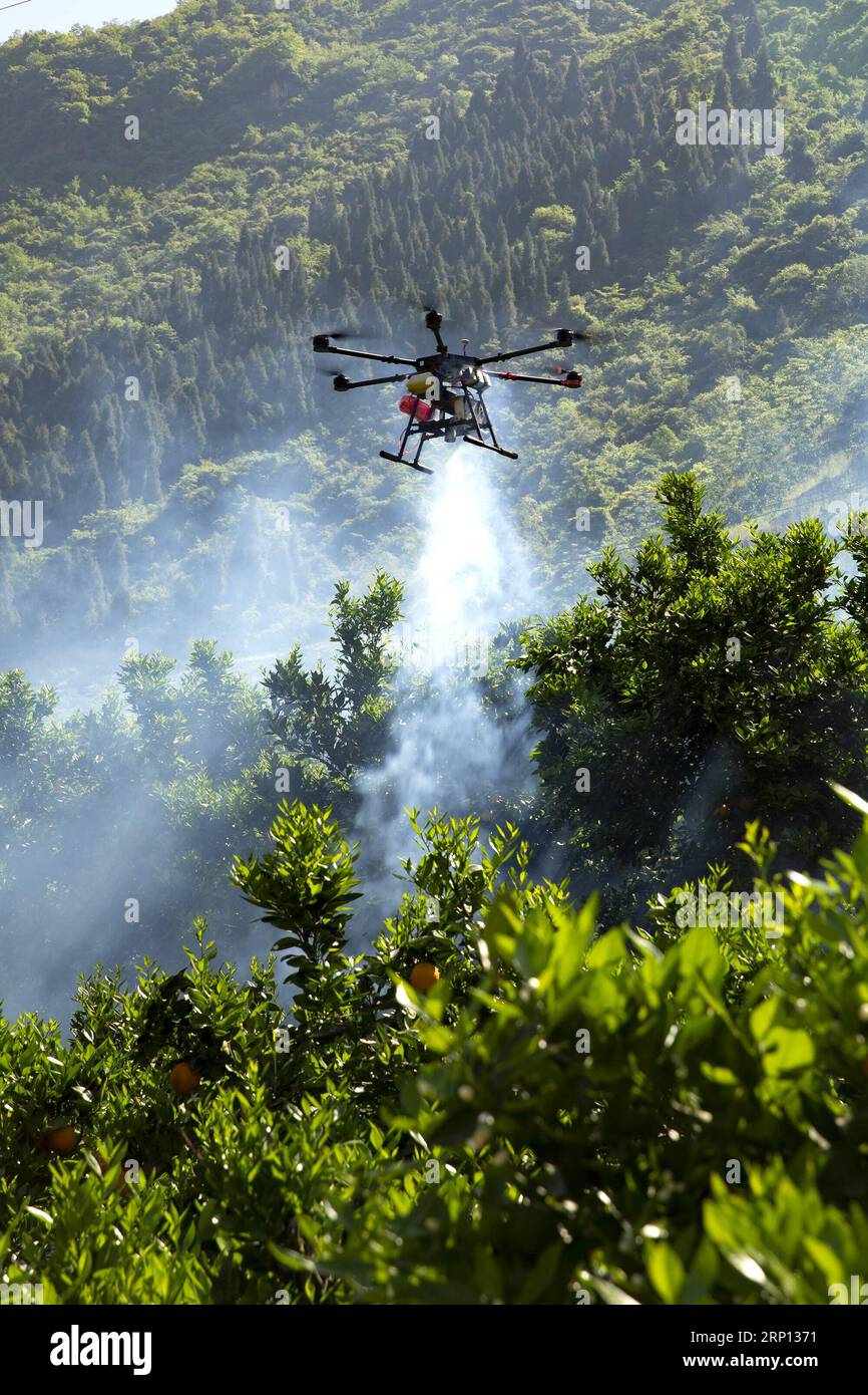 Plant protection uavs hi-res stock photography and images - Alamy