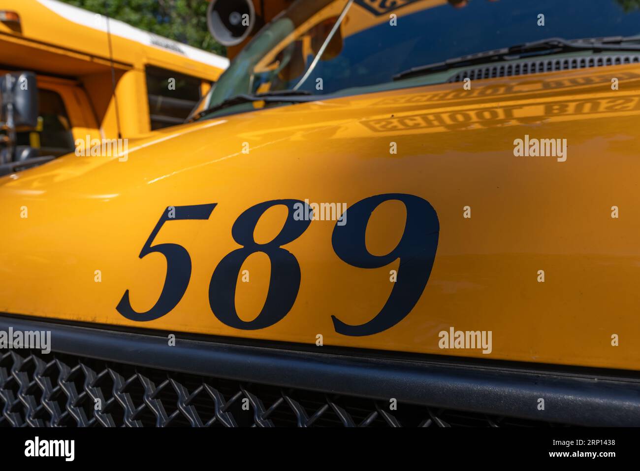 School bus service hi-res stock photography and images - Alamy