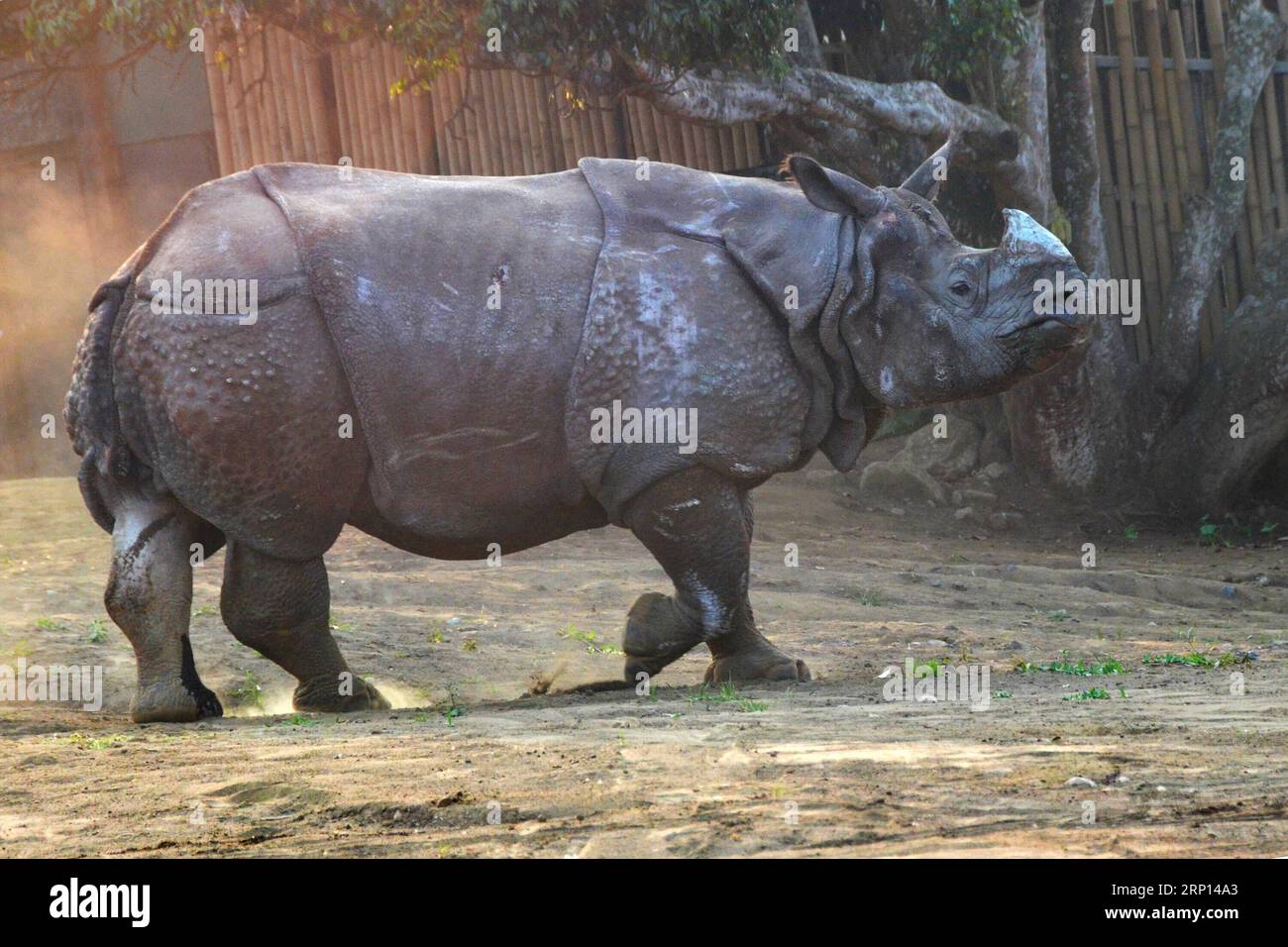 (180608) -- MALANG, June 8, 2018 -- Photo taken on June 8, 2018 shows a ...