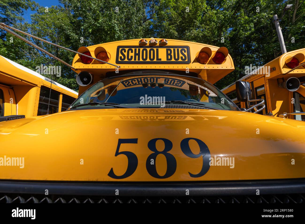 Front Of A Parked Yellow School Bus Number 589 Stock Photo Alamy front-of-a-parked-yellow-school-bus-number-589-stock-photo-alamy