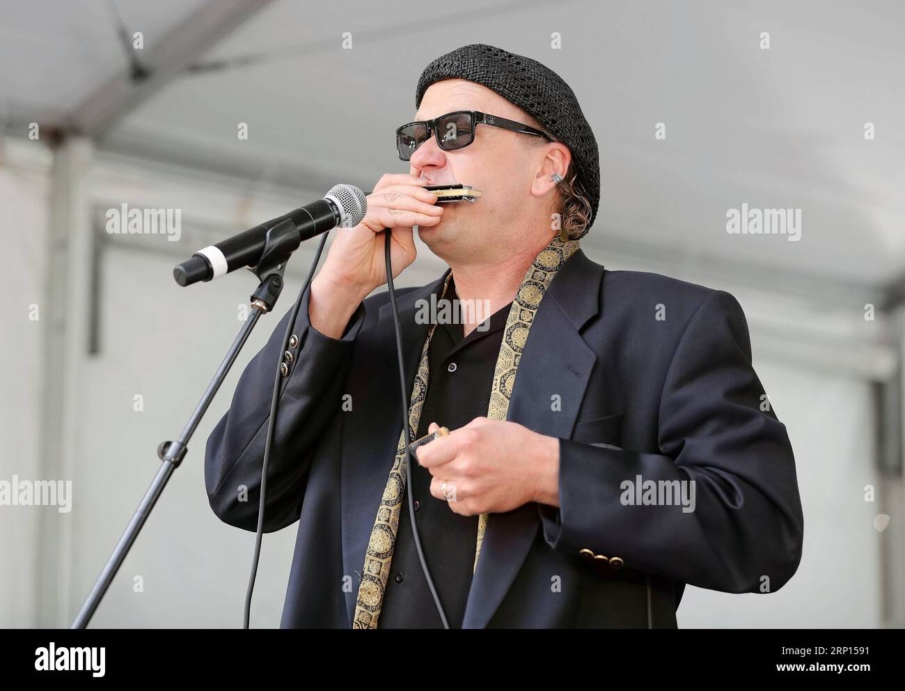 Harmonica player on stage hi-res stock photography and images - Alamy