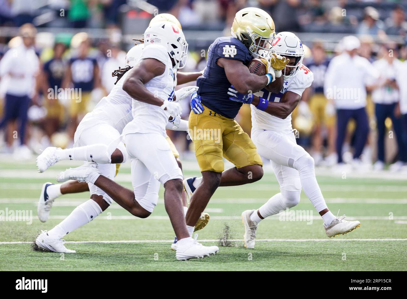 USA. 02nd Sep, 2023. September 02, 2023: Notre Dame running back Audric Estimé (7) runs with the ...