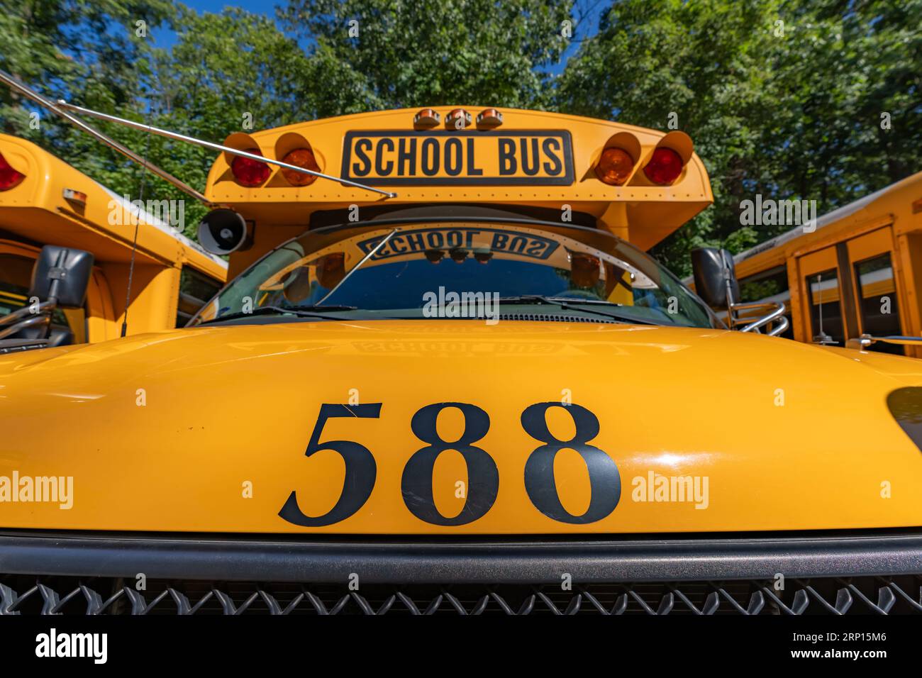 Front of a parked yellow school bus number 588 Stock Photo - Alamy