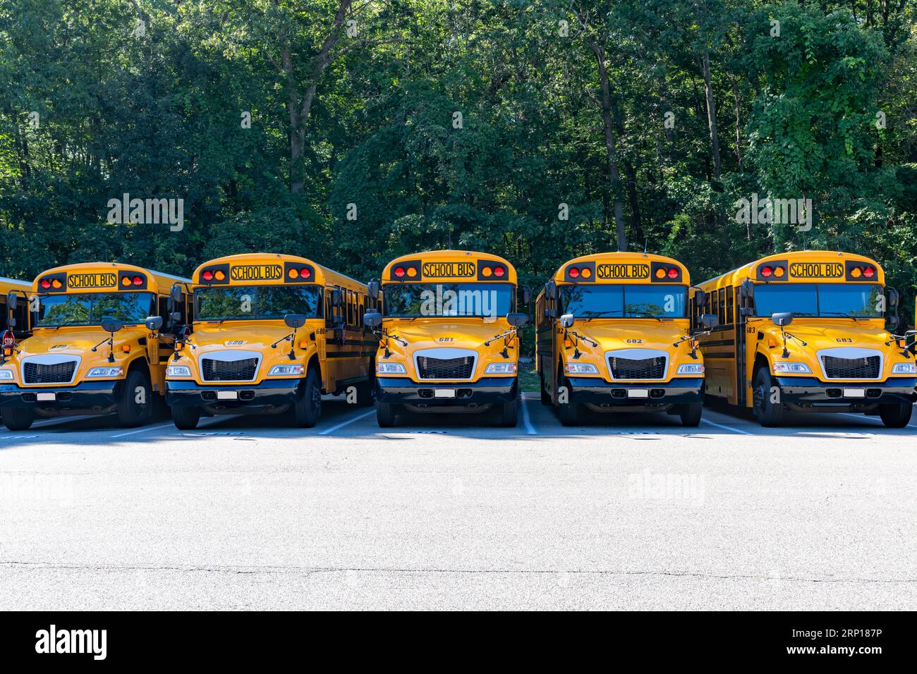 Front of a parked yellow school bus Stock Photo - Alamy