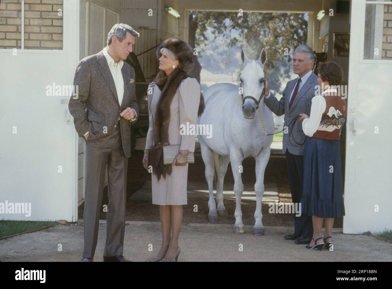 Dynasty TV Series Stock Photo - Alamy