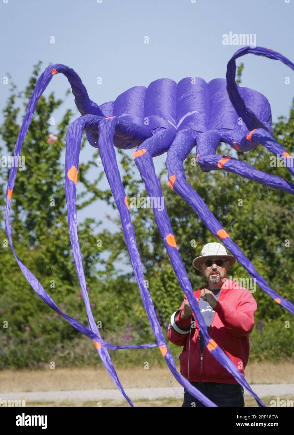 Professional kite flyers hi-res stock photography and images - Alamy