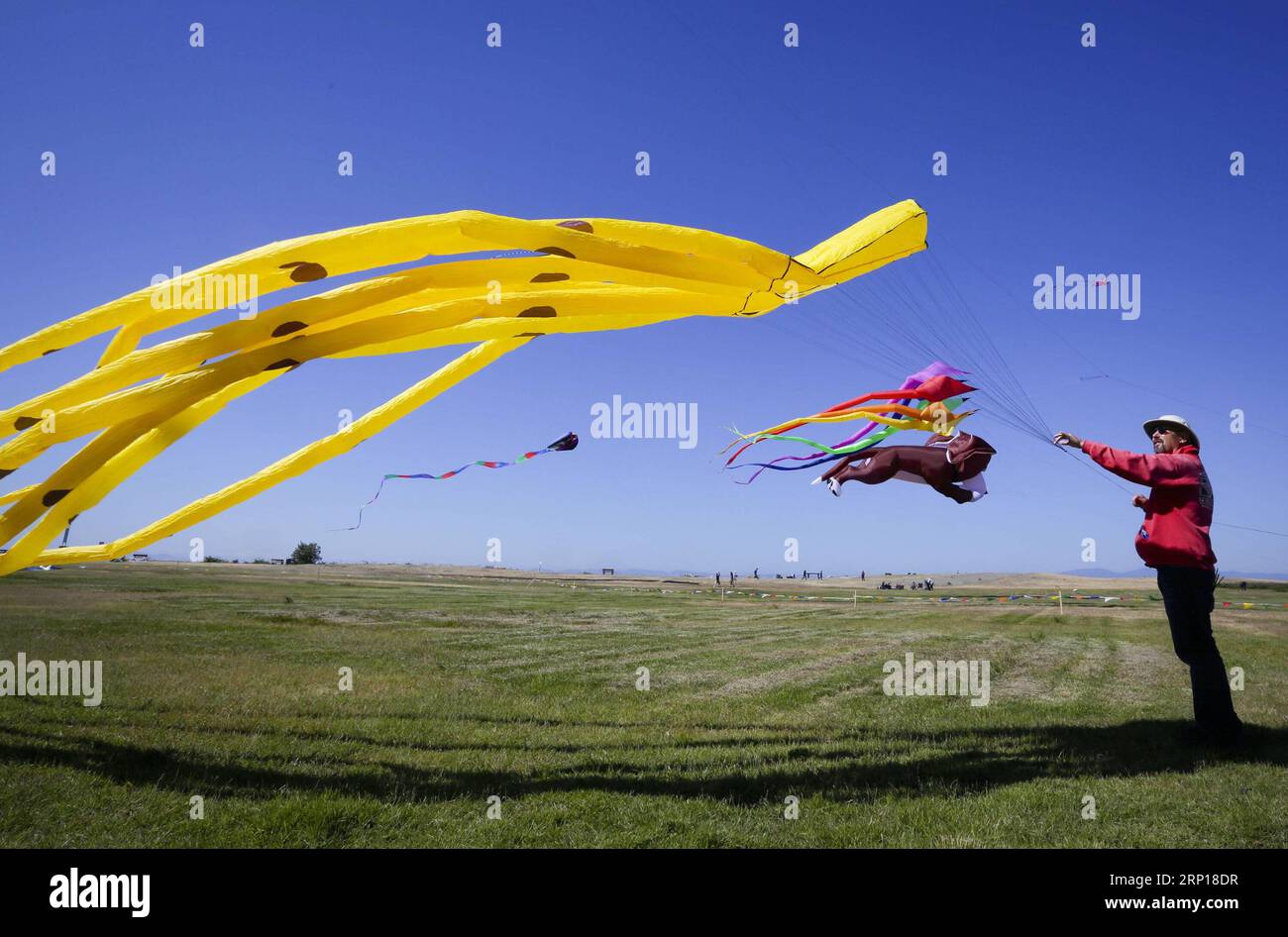 Professional kite flyers hi-res stock photography and images - Alamy