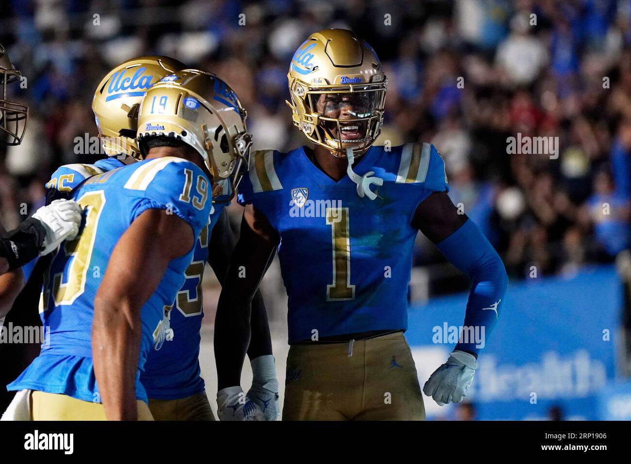 UCLA wide receiver J. Michael Sturdivant, right, celebrates his ...