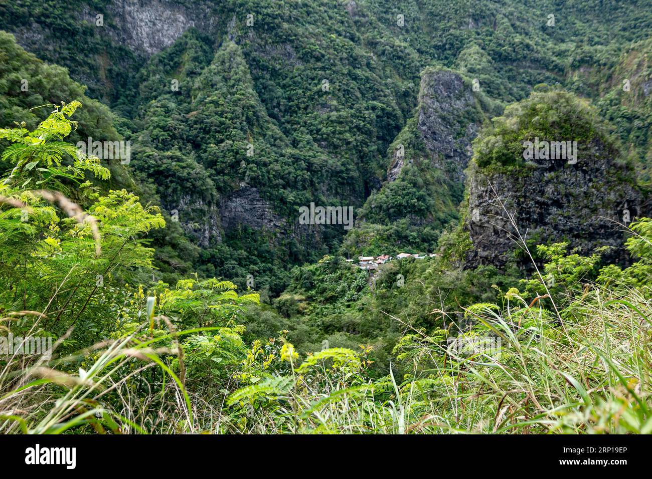 La Reunion Island from rhum factory to the volcano Stock Photo - Alamy