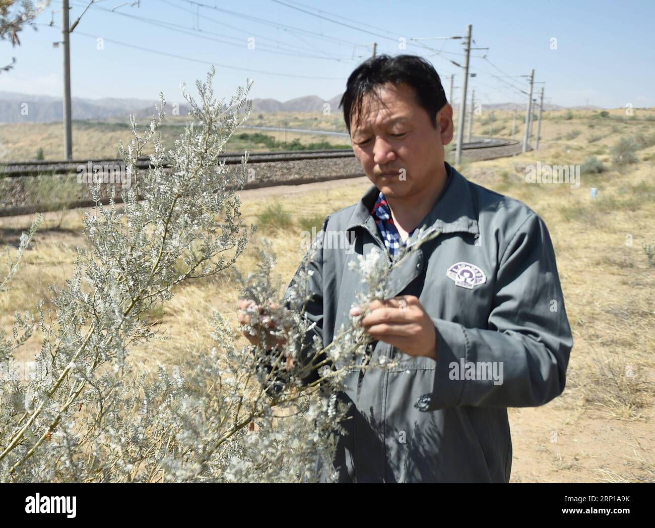 Luxying hi-res stock photography and images - Alamy