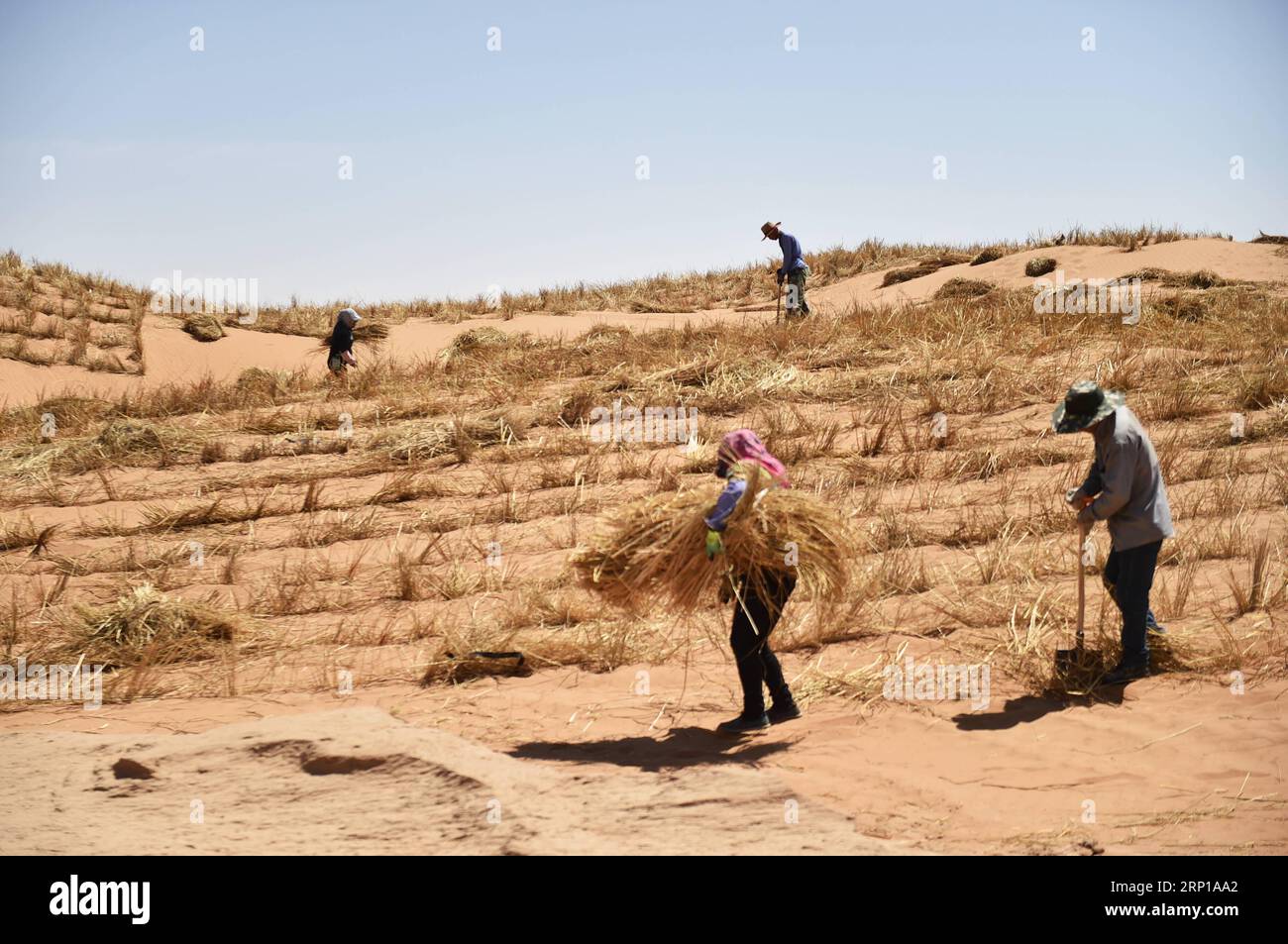 Luxying hi-res stock photography and images - Alamy